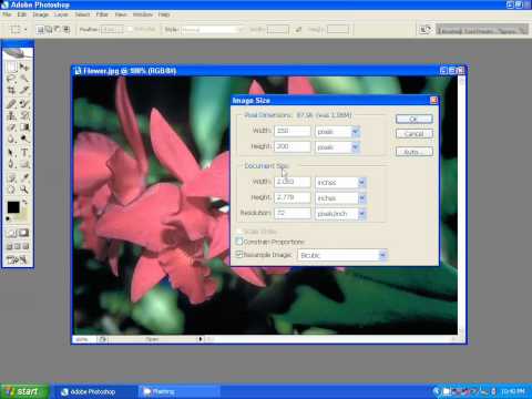 Image Resizing in Photoshop for Online Forms and Applications ? – KR ...