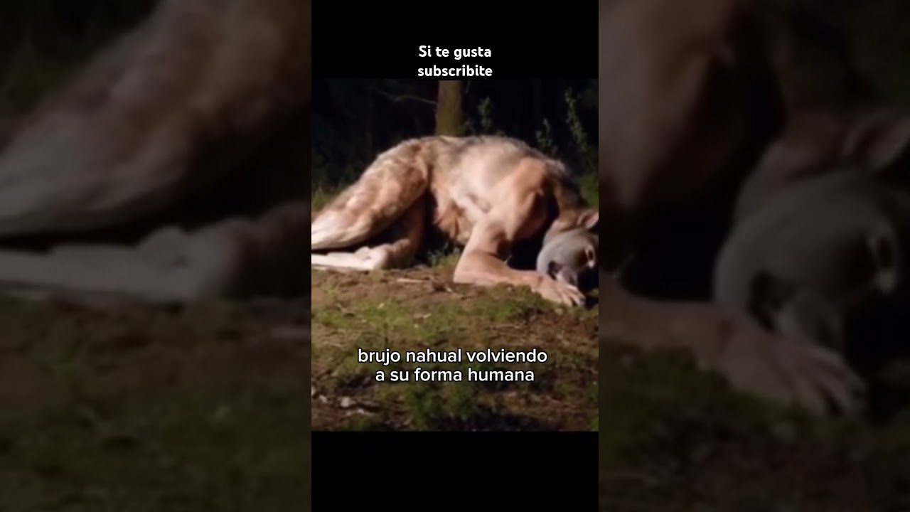 Nahual witch transforming into her human form #paranormal #nahual #entity #fear #witch