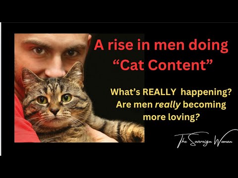 The rise of cat men - Sex & Relationships - Kenya Talk