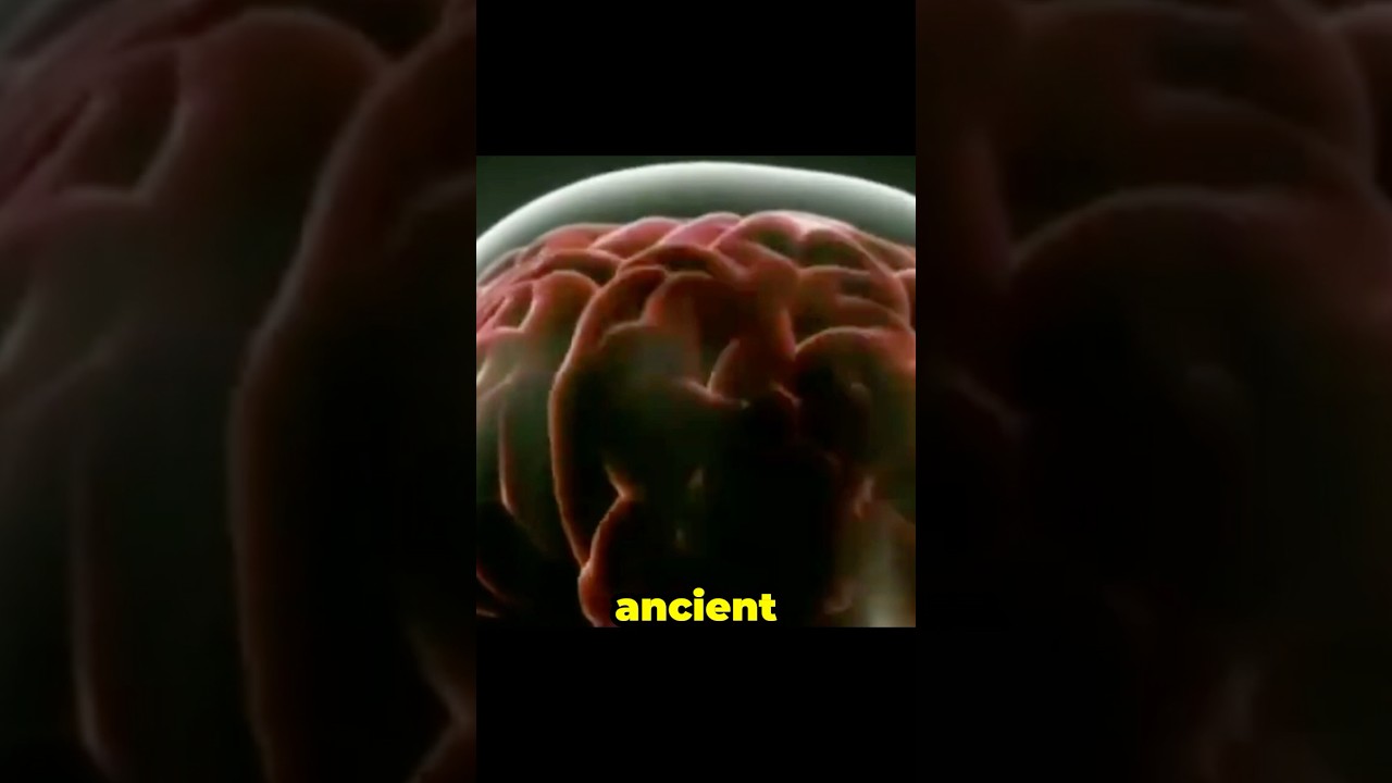 Your genetic code has a MEANING (Secret bible code)