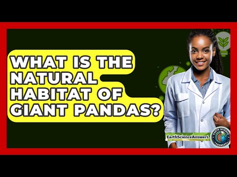 What Is The Natural Habitat Of Giant Pandas? - Earth Science Answers