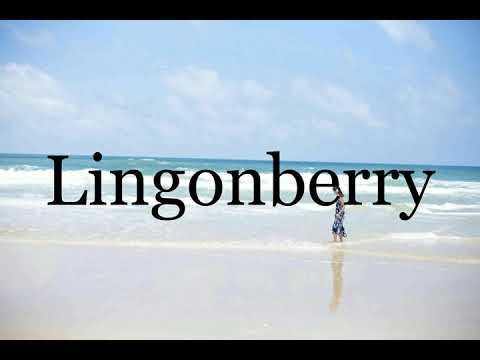How To Pronounce Lingonberry🌈🌈🌈🌈🌈🌈Pronunciation Of Lingonberry