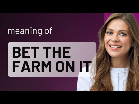 Betting the Farm: Understanding Risk in English Idioms