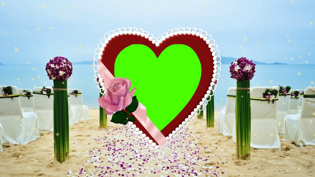 Wedding Green Screen Effect l Green Screen wedding effect HD