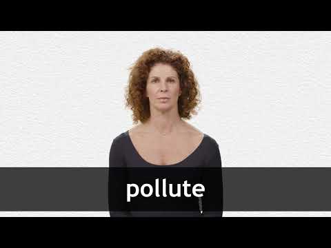 How to pronounce POLLUTE in American English