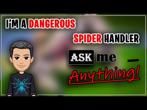 r/AMA | I'M A DANGEROUS SPIDER HANDLER | REDDIT ASK ME ANYTHING (r/IAMA)