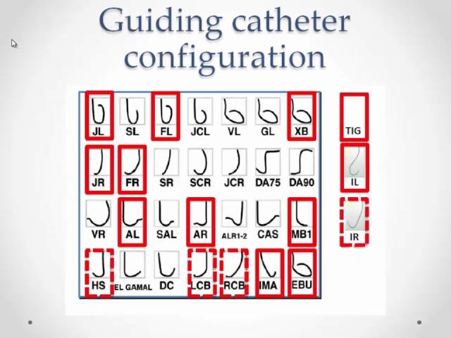Catheter Kit - Medtronic Launcher Guiding Catheter Wholesale Trader ...