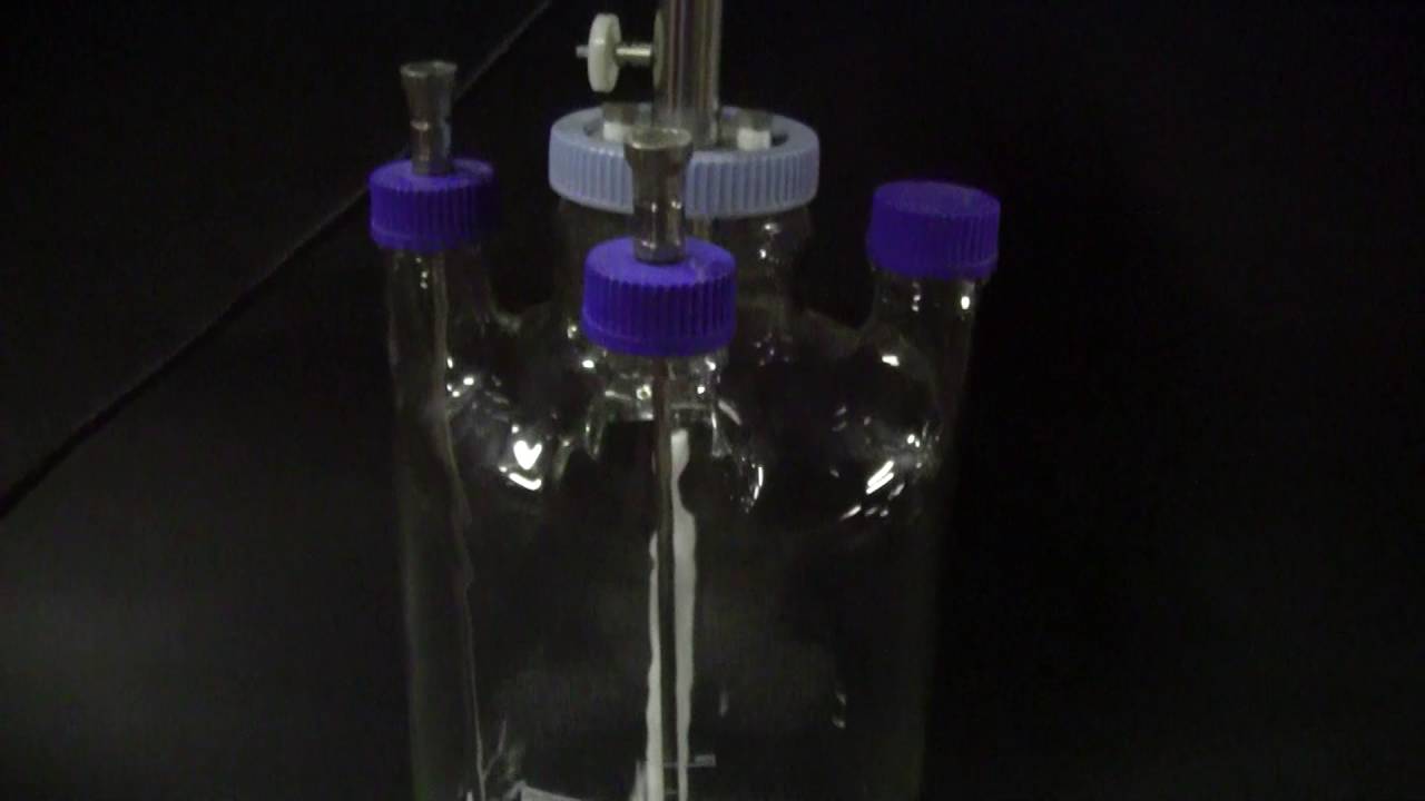 Spinner flask reactor - Pre/Post-Processing - Future4200