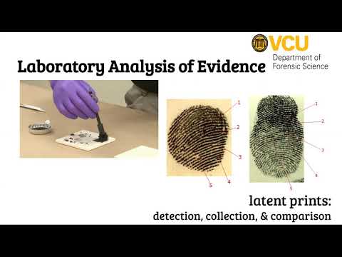 What is forensic science