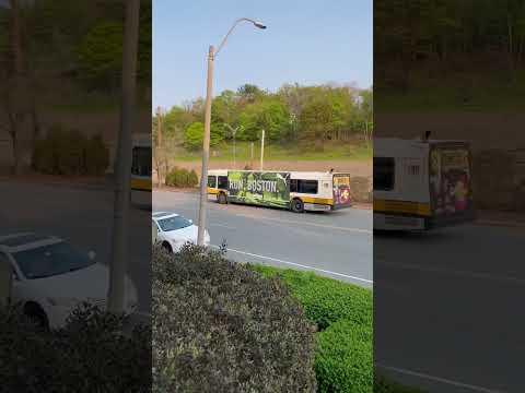 553 bus in newton #mbta #bus