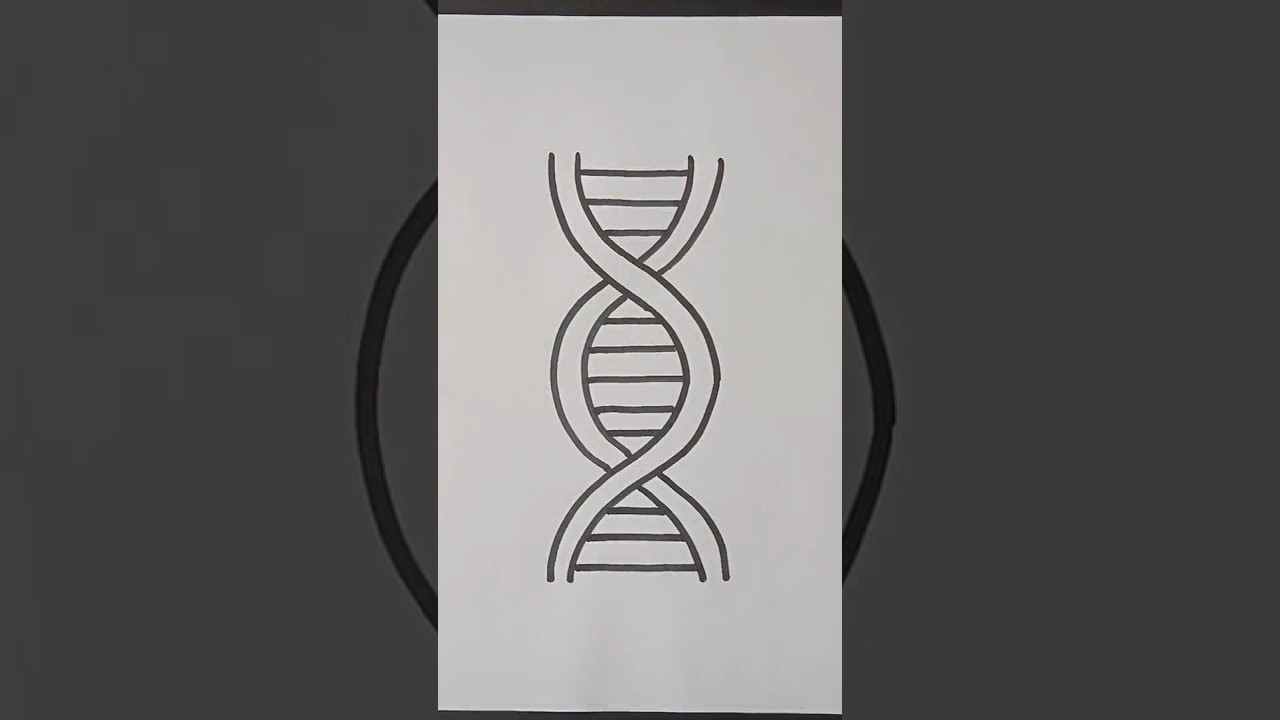 Draw DNA #dna #drawing #drawingtips