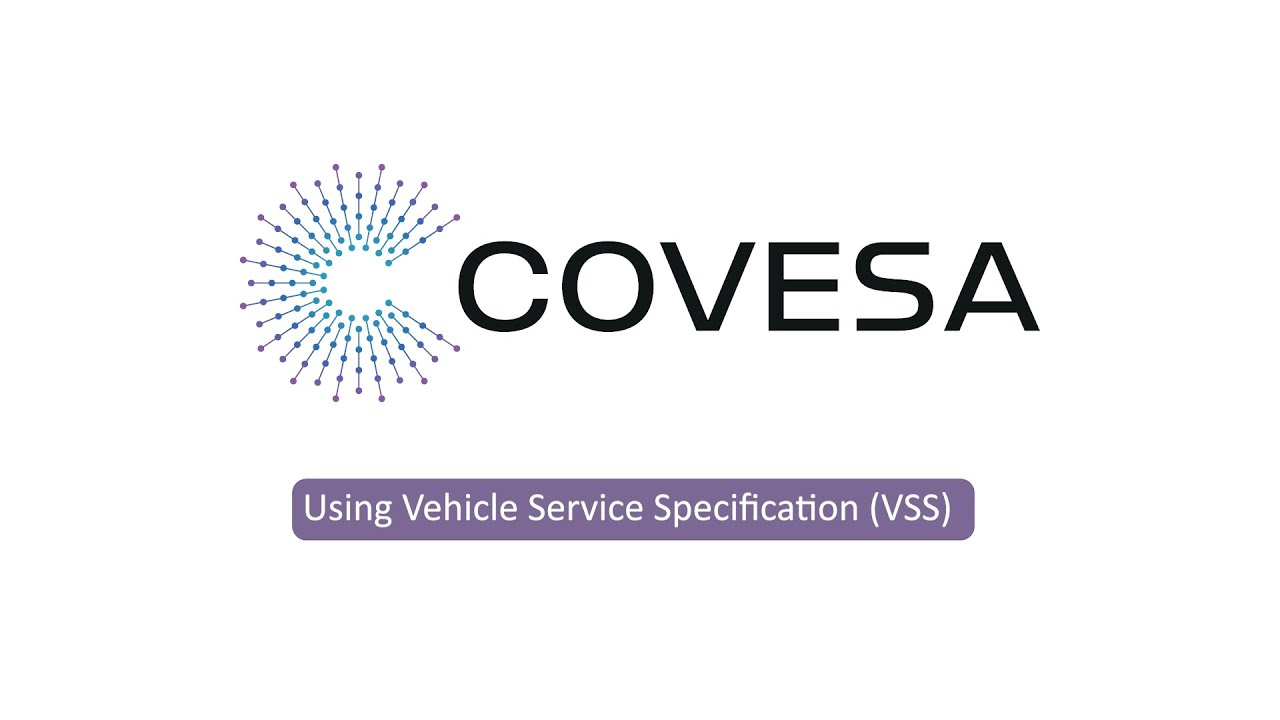 Using Vehicle Service Specification (VSS)