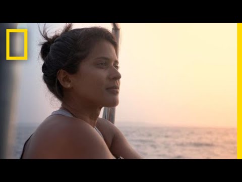 What It Means to Be a Marine Biologist | The Spark