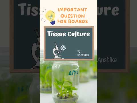 Tissue Culture Explained: Techniques, Benefits & Applications in Plant Science