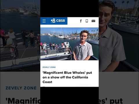 We are so grateful to have been featured on @cbs8 @zevelyzone 🐳✨🌊