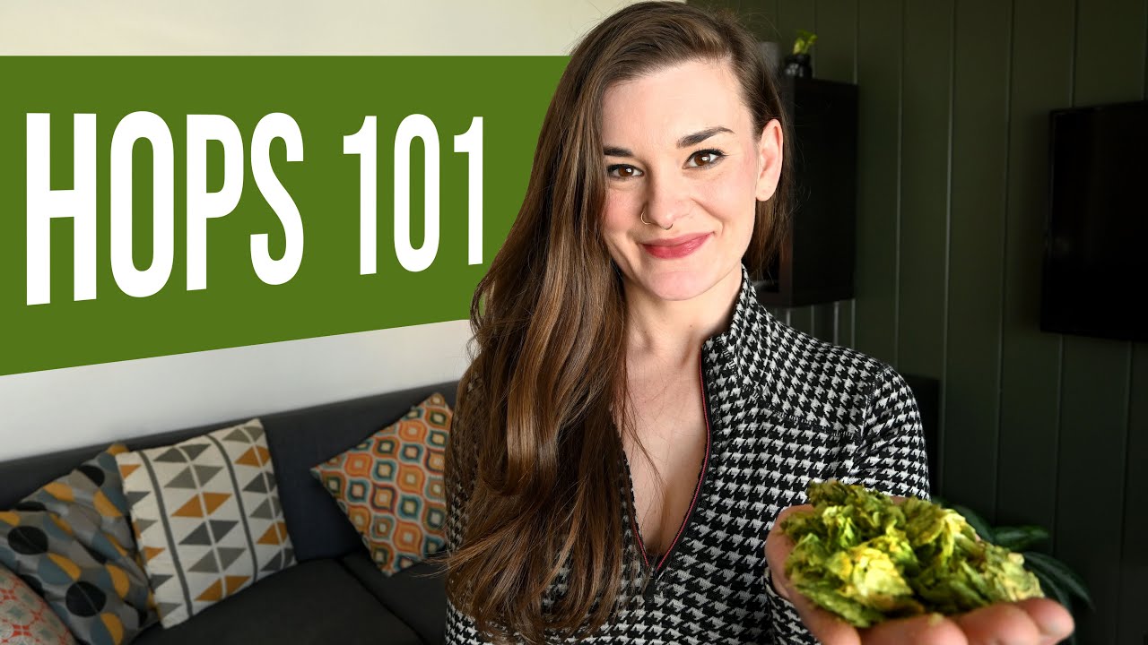 Hops 101: The Difference Between Hop Products and Addition Styles When Home Brewing