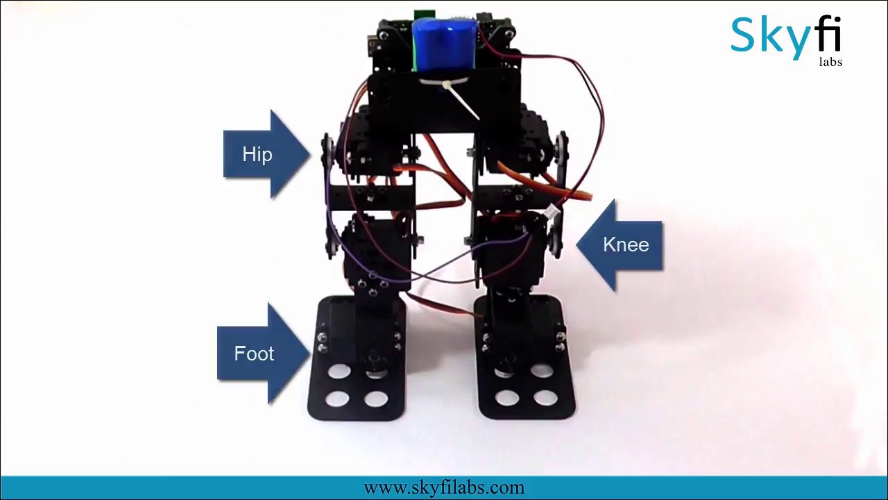 Learn & Build your own Biped Walking Robot - Skyfi Labs Mechatronics Project