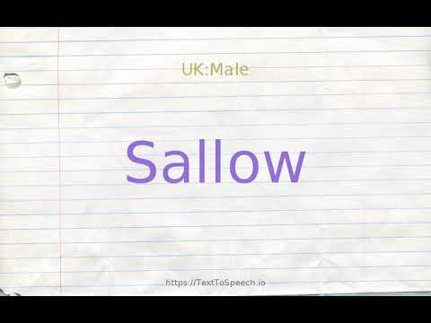 How to pronounce sallow
