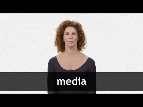 MEDIA 释义 | 柯林斯英语词典