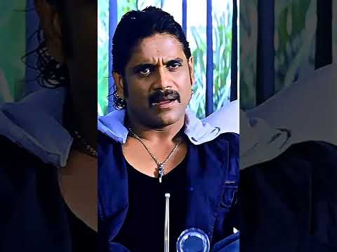 Surya Bhai ???????? | Nagarjuna - Don no.1 Dialogue Status | #donno1 #nagarjuna #shorts