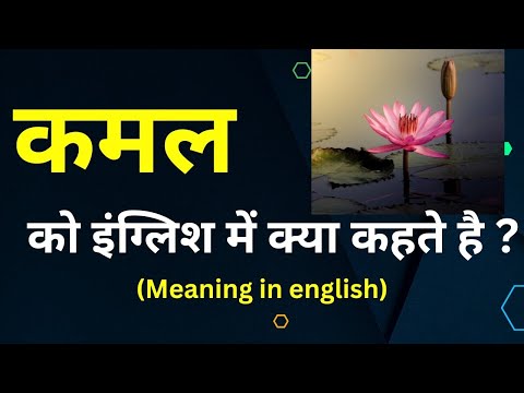 कमल को इंग्लिश मे क्या कहते हैं || kamal ka english meaning || word meaning in english
