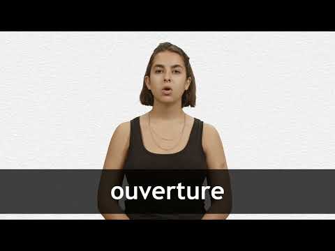 English Translation of “OUVERTURE” | Collins French-English Dictionary