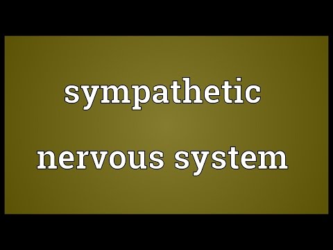 Sympathetic nervous system Meaning