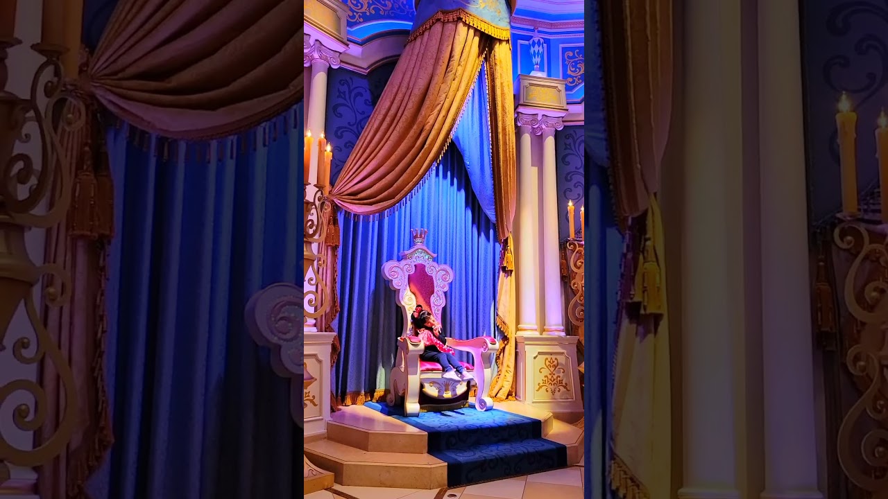 Tokyo Disneyland Cinderella's Castle Appreciation