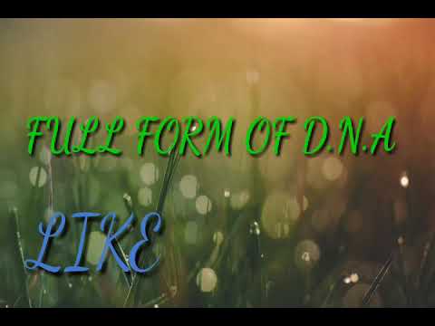 FULL FROM OF D.N.A| D.N.A FULL FROM IN HINDI