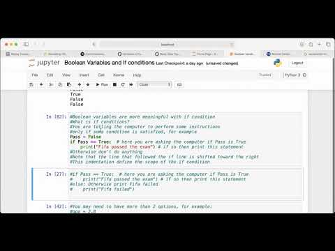 Easy Python Boolean variables and If conditions