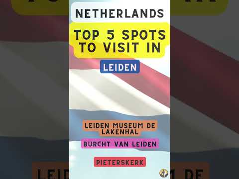 Top 5 Spots to Visit in Leiden (Netherlands)