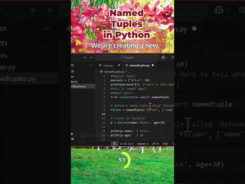 Named Tuples in Python #python #programming #softwareengineering #pythoncoding #visualstudio