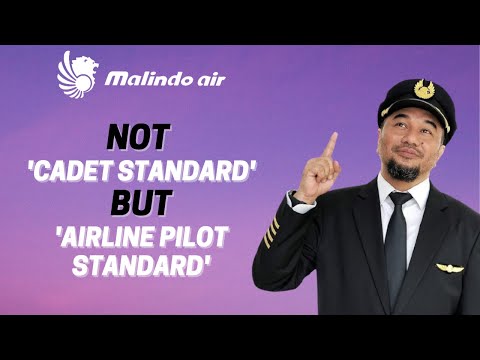 What is Airline Pilot Standard ?