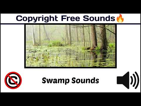 Swamp Sounds / Popular Animal Sound / #nocopyright /[ Copyright Free Animal Sounds ]