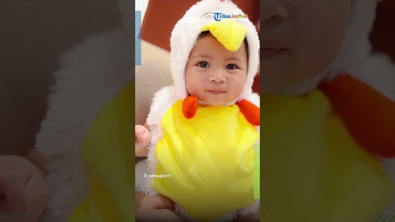 Curi Perhatian! Intip Potret Baby Lily Pakai Kostum Anak Ayam, Banjir Pujian Lucu dan ...