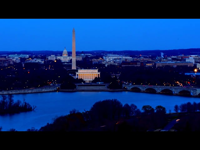 Home - Securities Docket