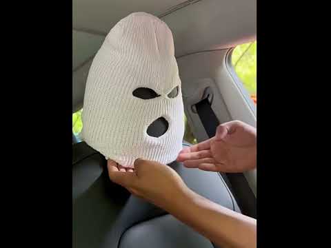 The Must-Have Hilarious & Quirky Tesla Seat Headrest Covers