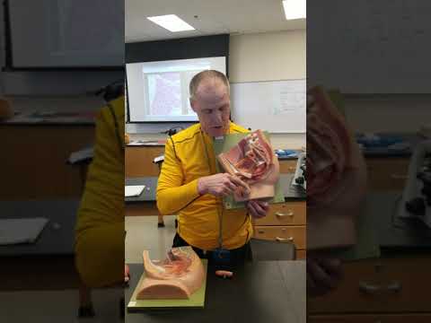 20190409_111527.mp4