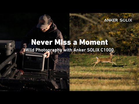 Never Miss a Moment: Wild Photography with Anker SOLIX C1000