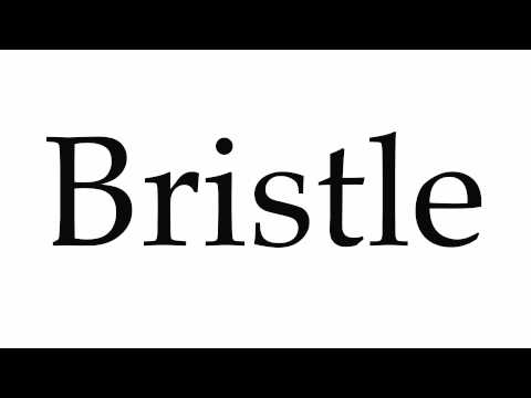 How to Pronounce Bristle