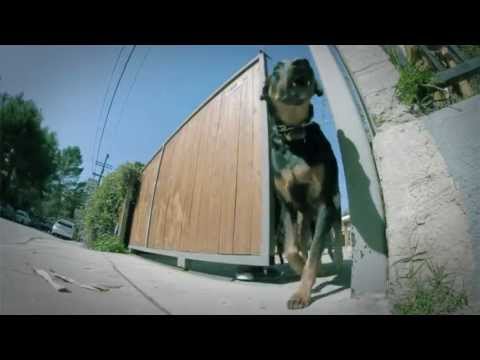 Stereo EP Cruiser: Roll Dogs with Pastras and Peterson