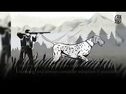 Top 5 Best Duck Hunting Dogs of 2023!
