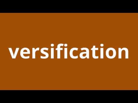 what is the meaning of versification.