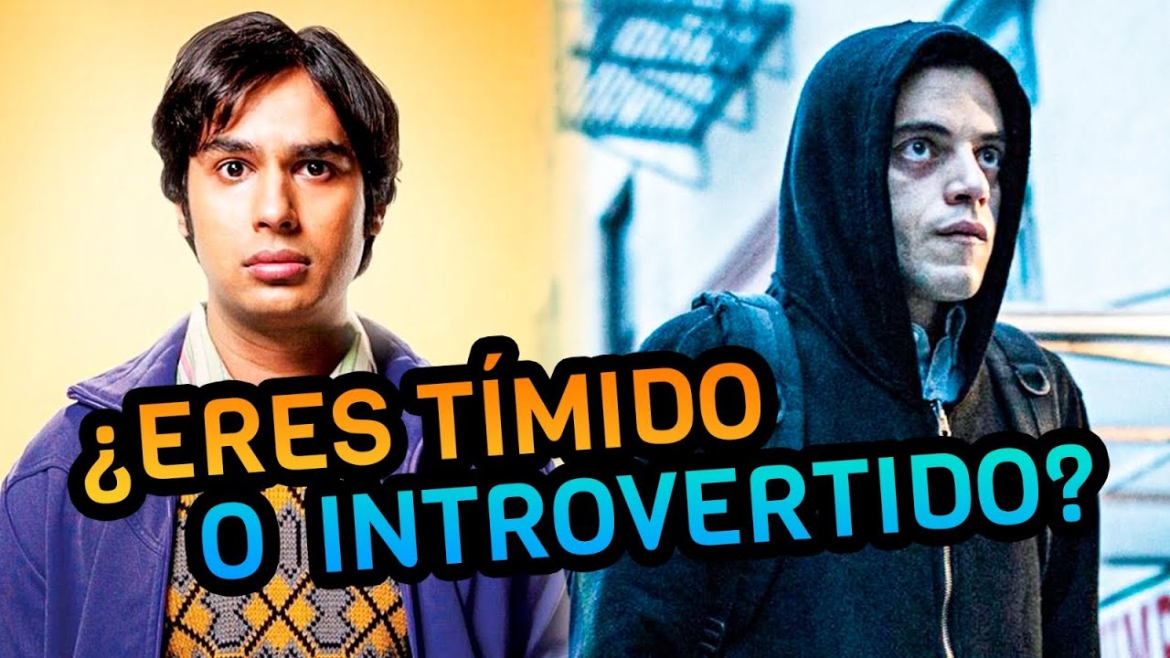 Distinguiendo entre Timidez e Introversión: Claves para Comprender tu ...