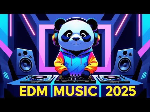 2025 High Music Energy | Best EDM Music Playlists | Remixes Of Popular Songs 2025 (DJ BaoBao)