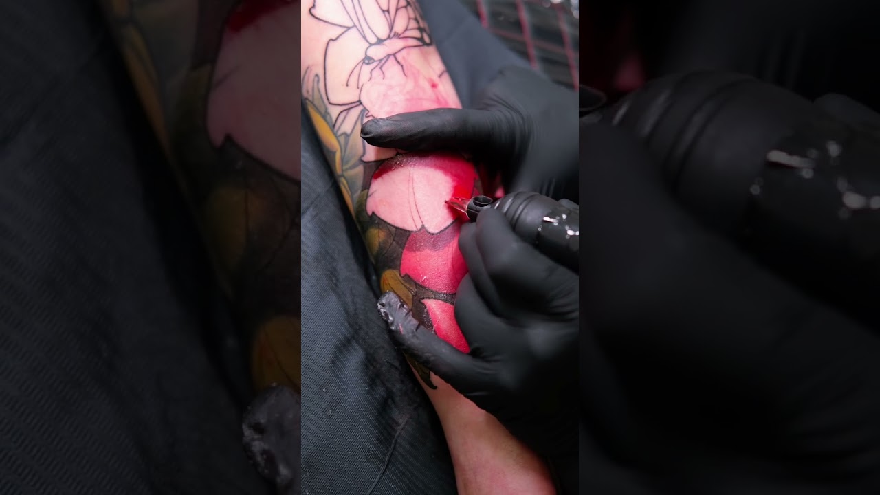 Neo traditional tattoo rose color packing, rose shading.