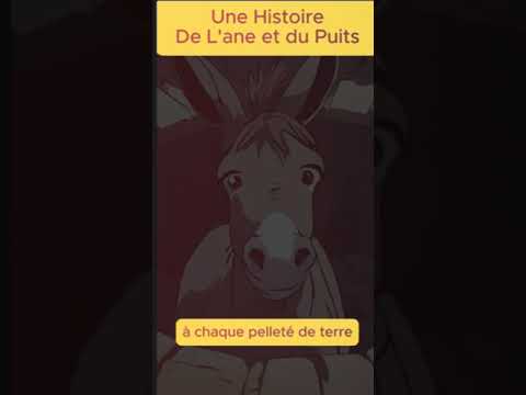 The Donkey and the Well: A Powerful Life Lesson (FR)
