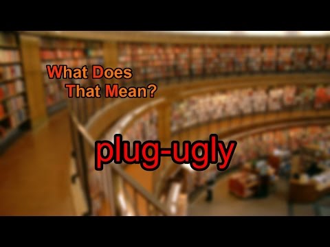 What does plug-ugly mean?