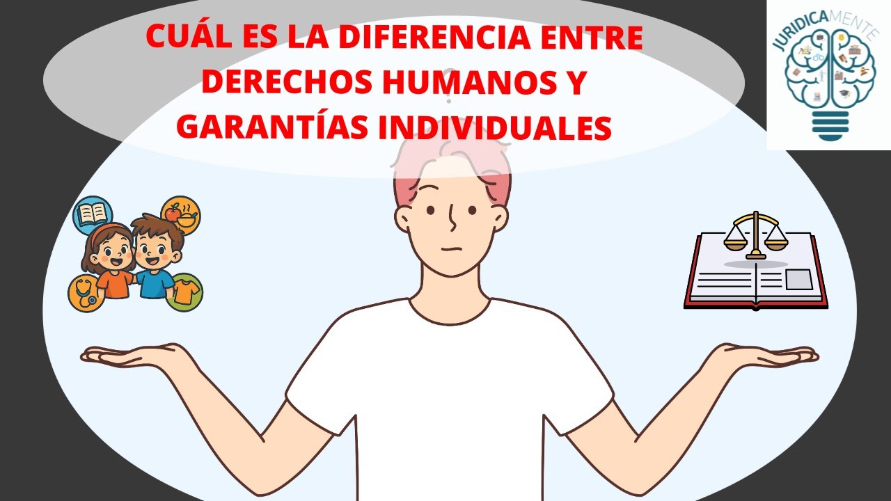 What is the difference between human rights and individual guarantees?