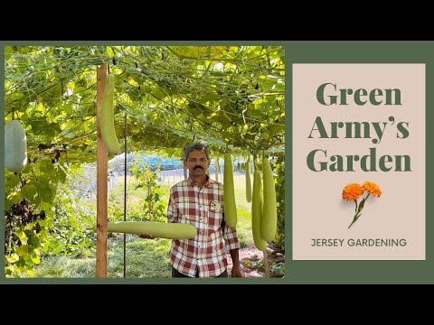 Garden Tour II Vegetable Garden II Green Army II St.Thomas Church, Somerset, NJ